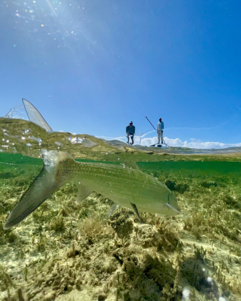 A Passion for Bonefish – Wild River Press